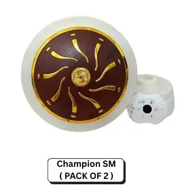Champion SM MODEL ( PACK OF 2 ) (AC-DC Ceiling Fan Inverter Hybrid ...