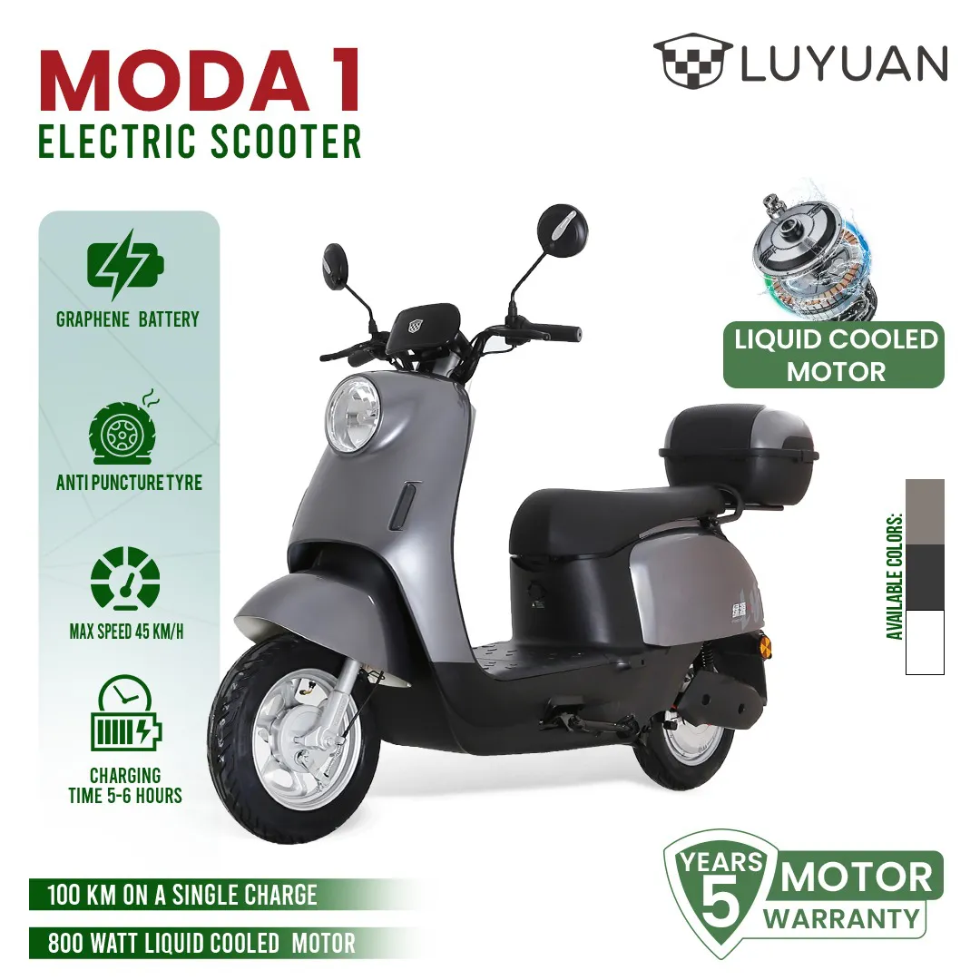 Luyuan MODA 1 Electric Scooter or EBike | AlfaMall