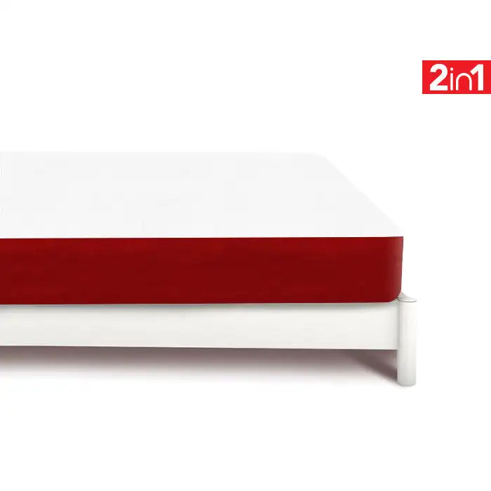 MoltySleep by Master Molty Foam Official | AlfaMall