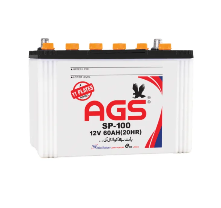 AGS Battery - SP 100 By AGS Official Store | AlfaMall